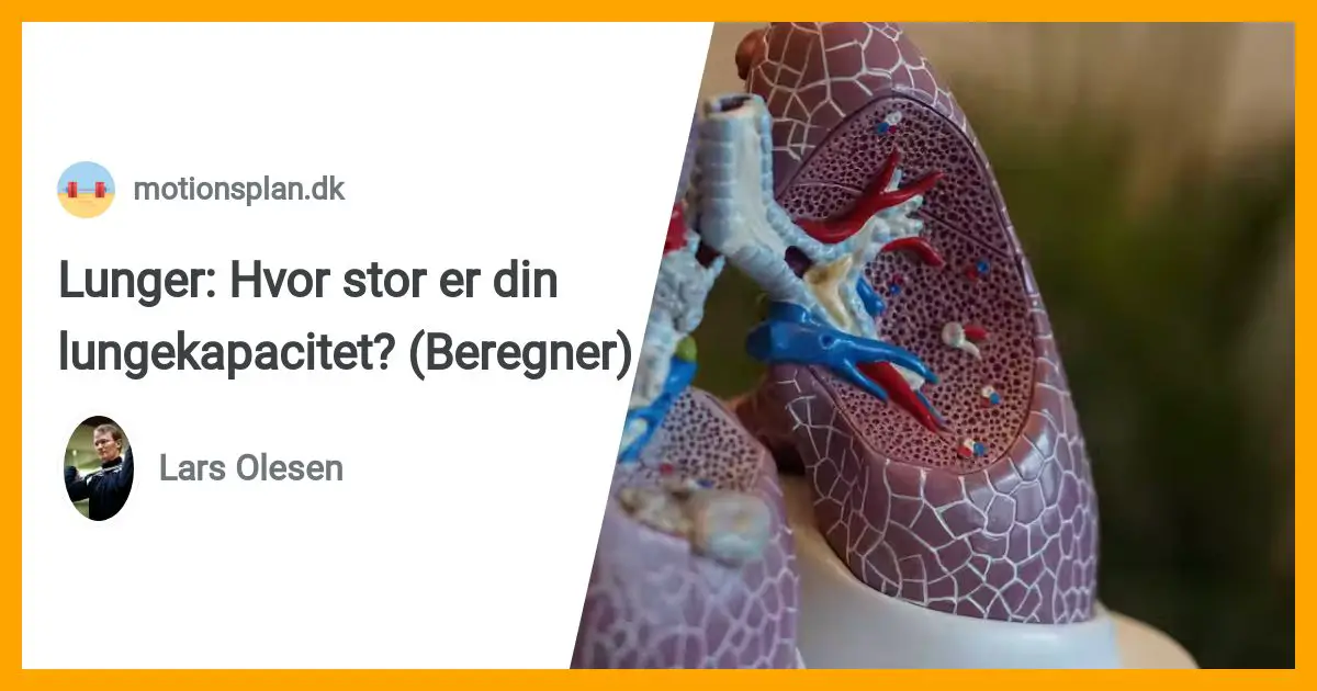 Lunger: Hvor stor er din lungekapacitet? (Beregner)