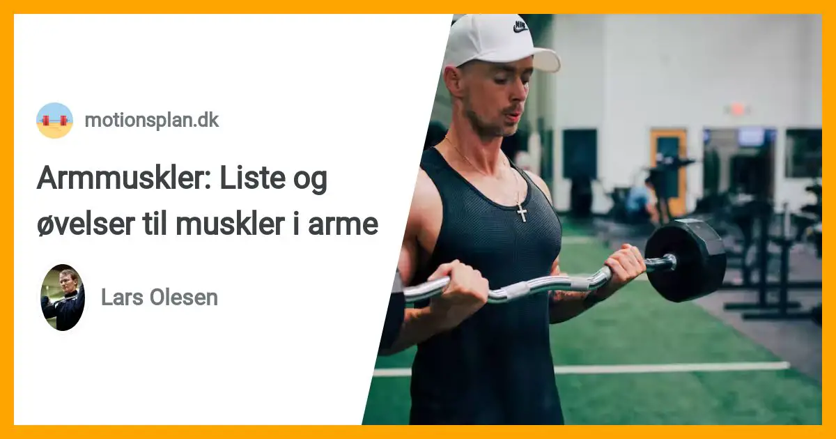 Armmuskler: Liste og øvelser til muskler i arme
