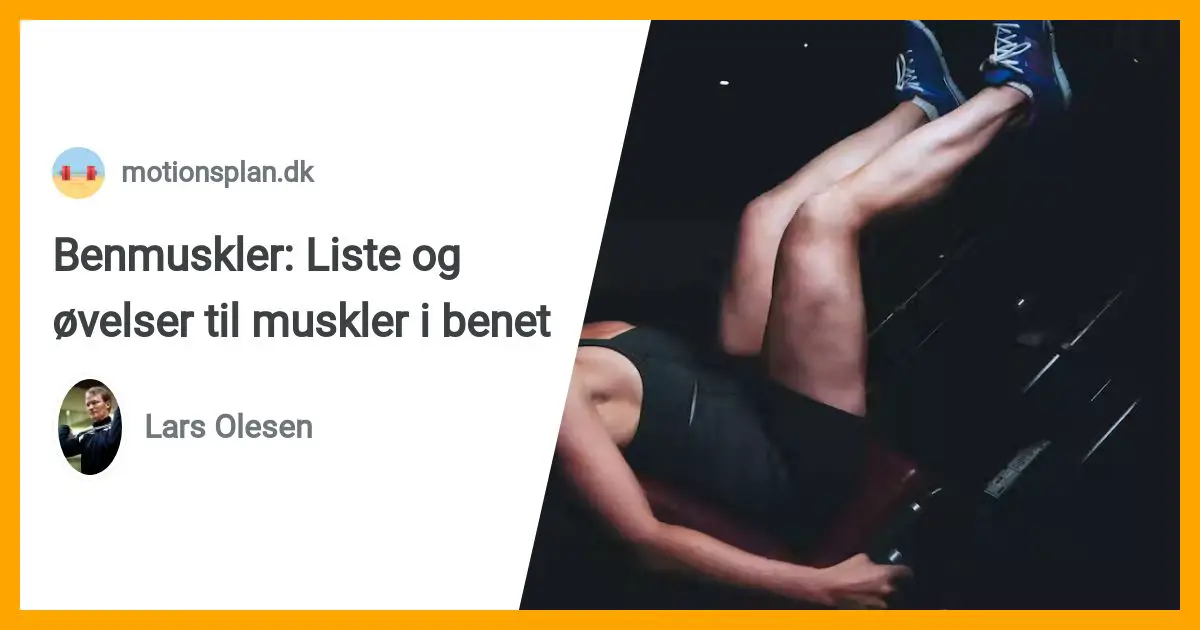Benmuskler: Liste og øvelser til muskler i benet