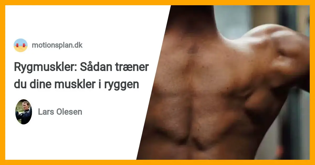Rygmuskler: Sådan træner du dine muskler i ryggen
