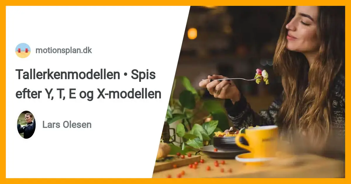 Tallerkenmodellen • Spis efter Y, T, E og X-modellen