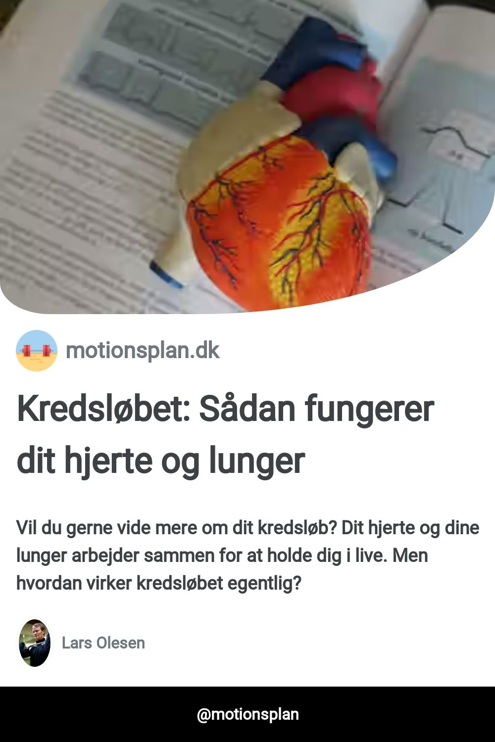 Kredsløbet: Sådan fungerer dit hjerte og lunger