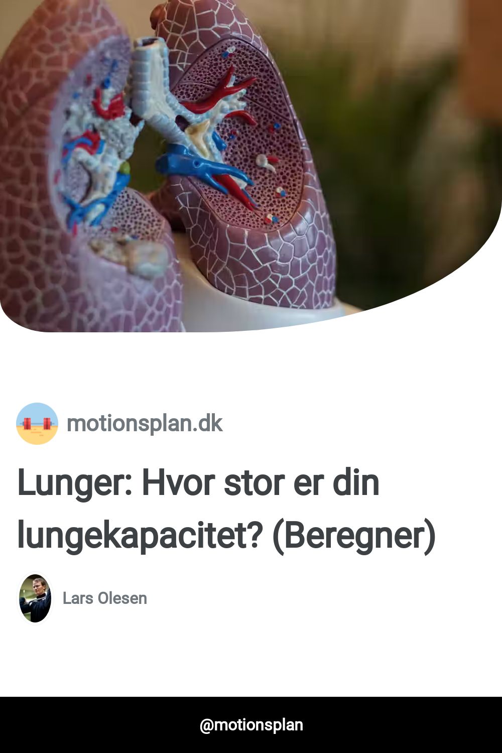Lunger: Hvor stor er din lungekapacitet? (Beregner)