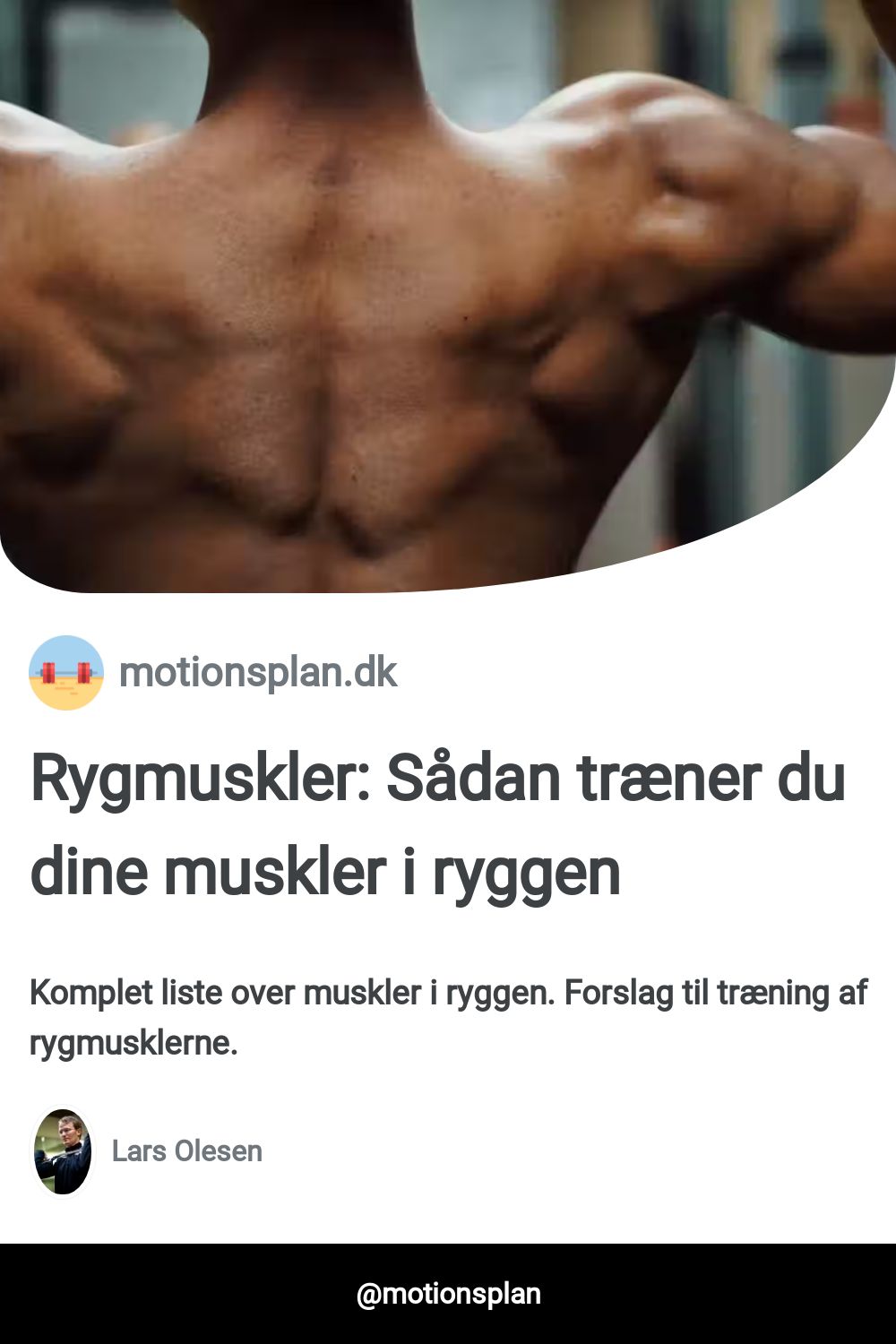 Rygmuskler: Sådan træner du dine muskler i ryggen