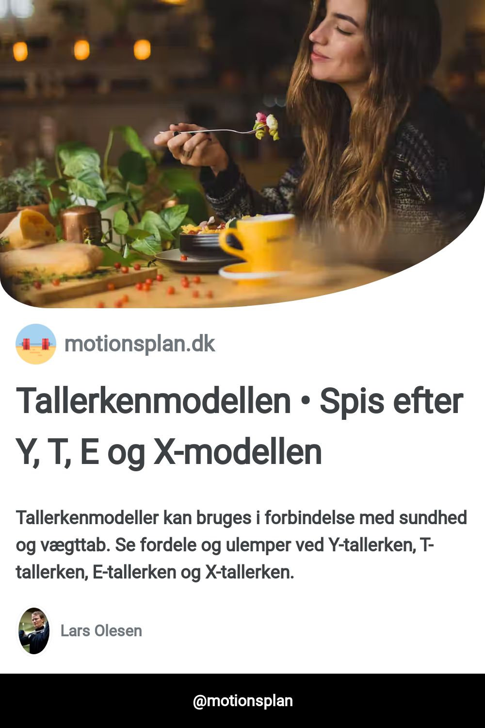 Tallerkenmodellen • Spis efter Y, T, E og X-modellen